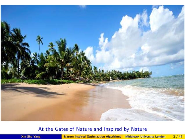 Nature Inspired Optimization Algorithms Ppt