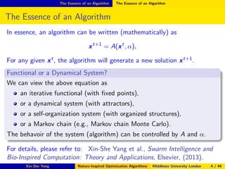 Nature-Inspired Optimization Algorithms | PDF