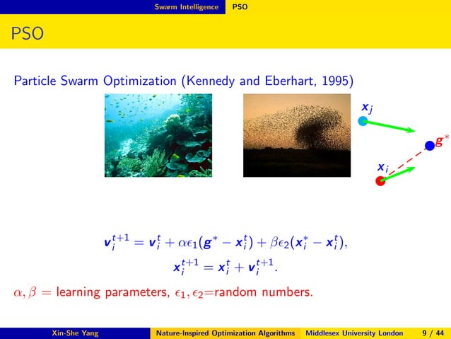 Nature-Inspired Optimization Algorithms | PDF | Birdwatching | Hobbies & Interests