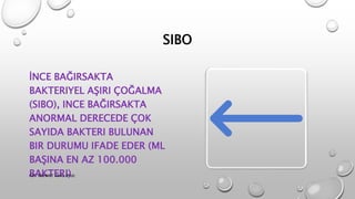 Sibo (İnce Bağırsak Aşırı Bakteri üremesi) | PPTX