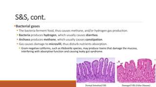 Small Intestinal Bacterial Overgrowth (SIBO) | PPTX