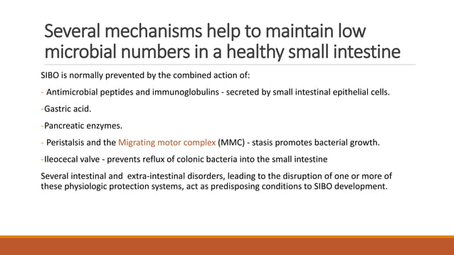 Small Intestinal Bacterial Overgrowth (SIBO) | PPTX