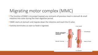 Small Intestinal Bacterial Overgrowth (SIBO) | PPTX