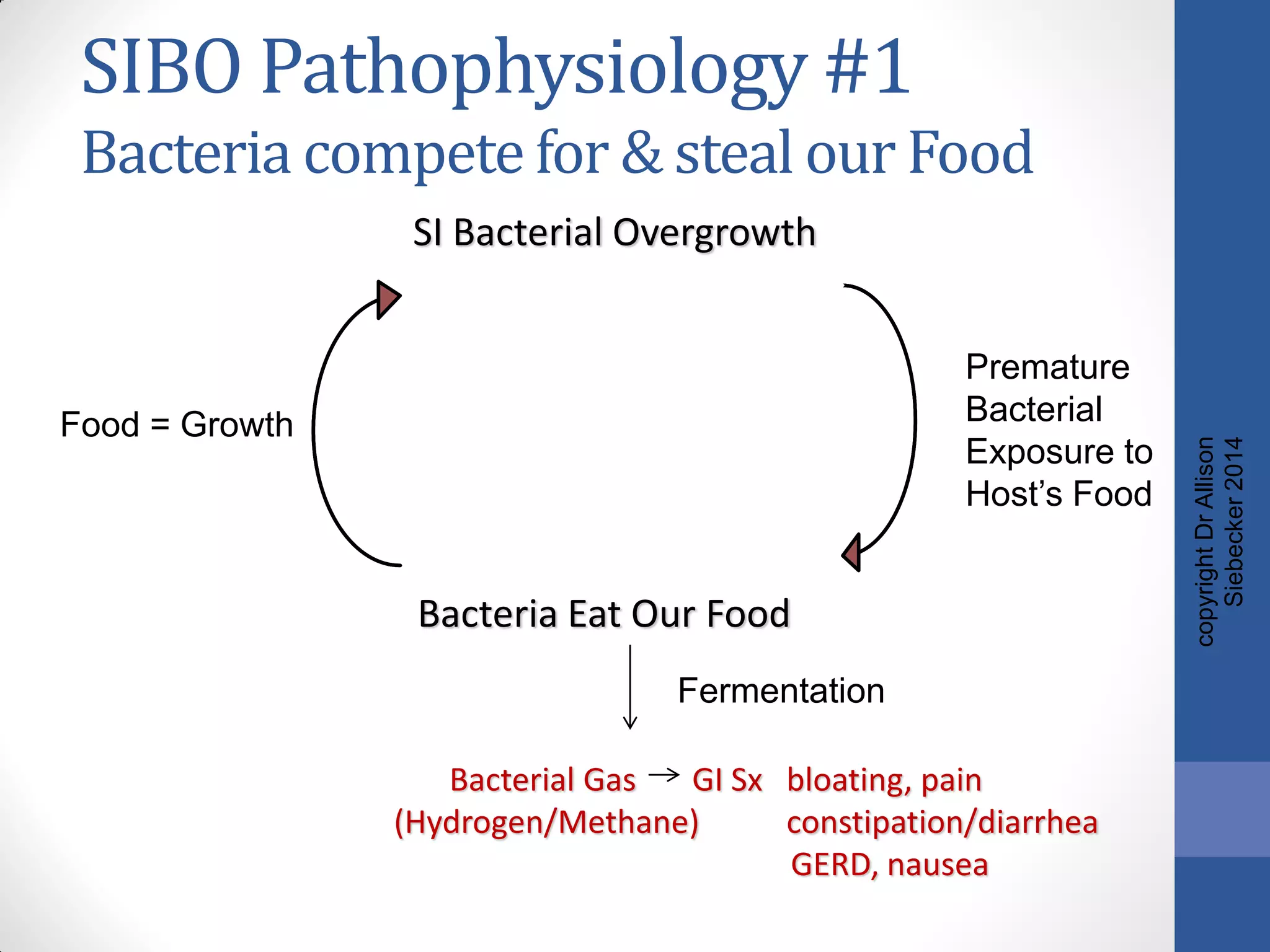 Sibo and scleroderma handout | PDF