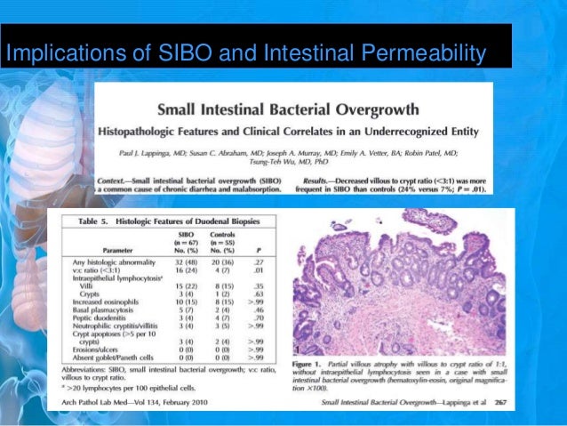 Small intestinal bacterial overgrowth - lopimetro