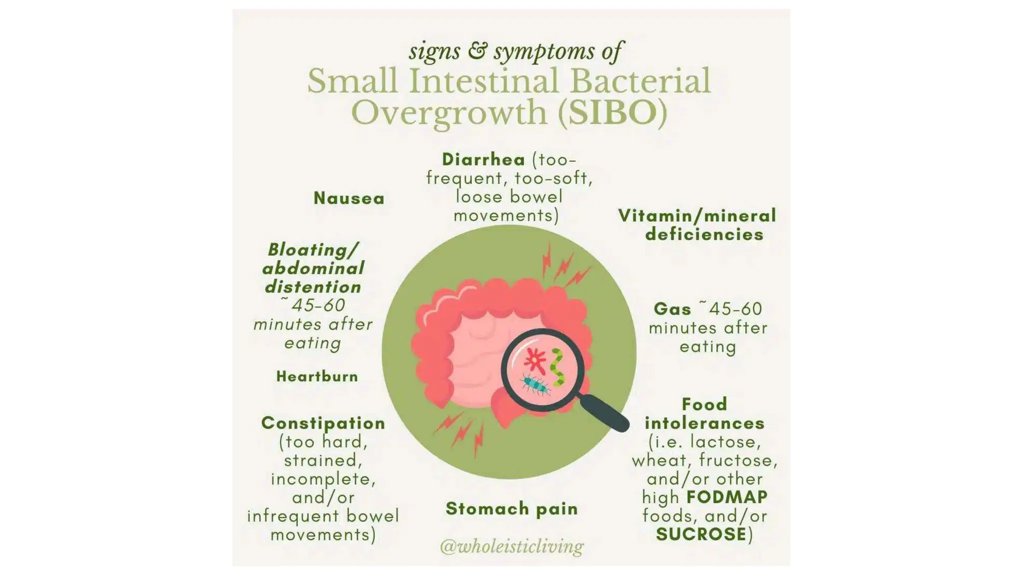 Small Intestine Bacterial Overgrowth (SIBO) | PPTX