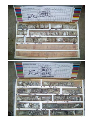 Sample collection (Soil Investigation) | PDF | Geology | Science