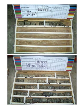 Sample collection (Soil Investigation) | PDF | Geology | Science