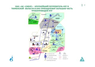 Sibur Valery Plotnikov | PDF