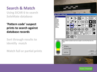 Sicar | PPSX