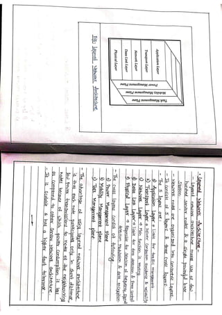 S&I Chapter 1. Introduction to Instrumentation & Sensors.pdf