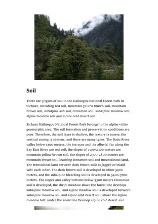 Sichuan hailuogou national forest park | PDF
