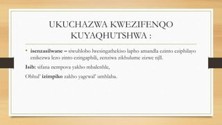 Sicikozangosiba 161125075523 | PDF