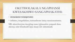 Sicikoza ngosiba | PPTX