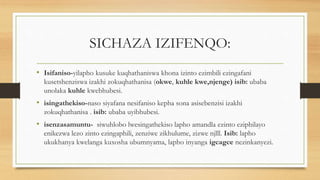 Sicikoza ngosiba | PPTX