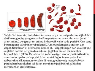 Sickle Cell | PPTX