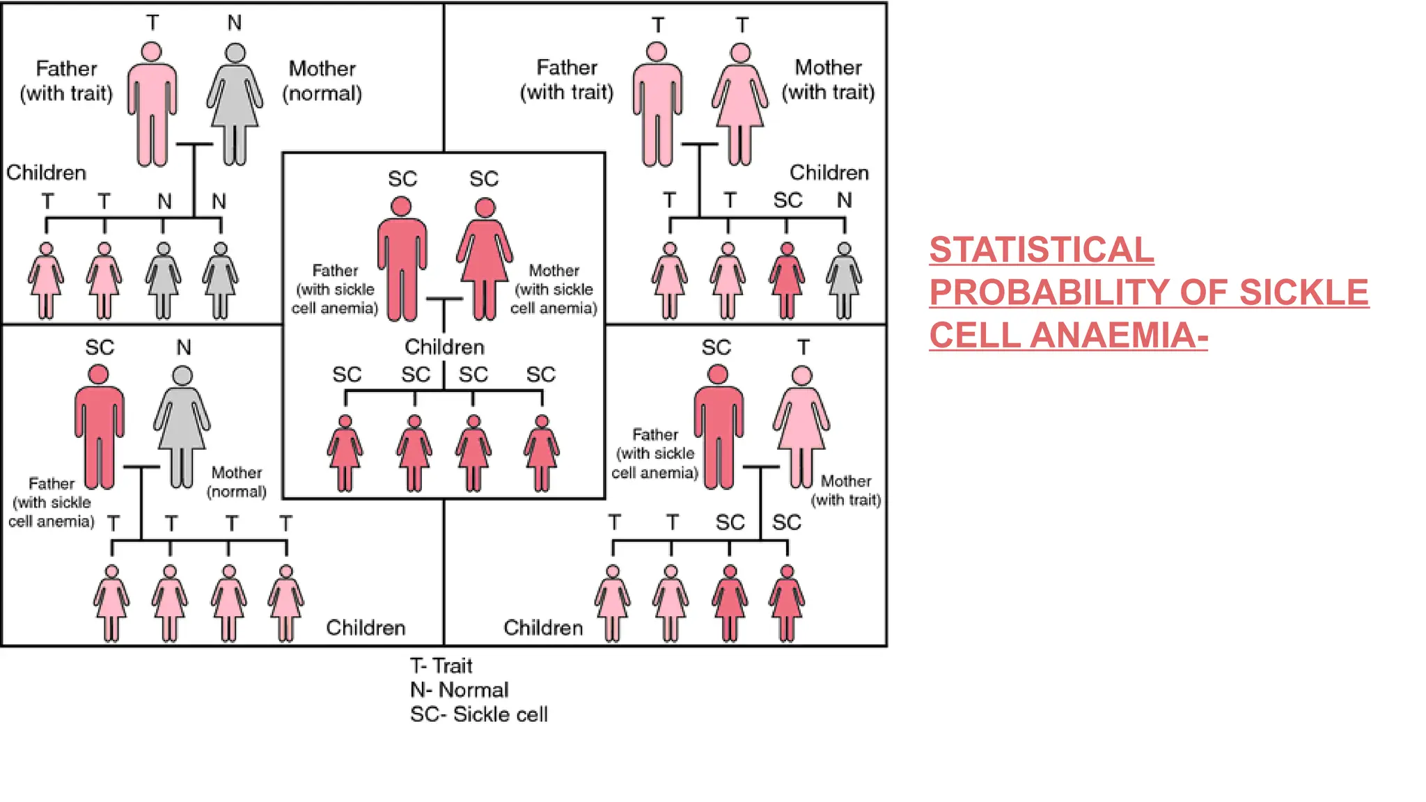Comprehensive Overview of Sickle Cell Anemia: Causes, Symptoms ...