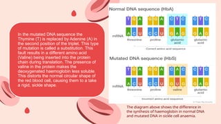 Comprehensive Overview of Sickle Cell Anemia: Causes, Symptoms ...
