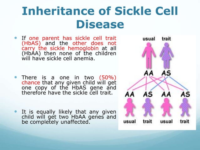 Sickle cell anemia | PPTX | Blood Disorders | Diseases and Conditions