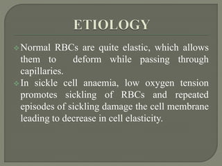 SICKLE CELL PATHOPHYSIOLOGY B.PHARM 2ND SEM.pptx