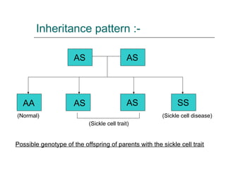 Sickle Cell Anemia | PPT