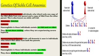 Sickle cell anaemia | PPT