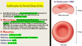 Sickle cell anaemia | PPTX