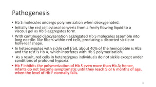 Sickle cell anaemia | PPTX