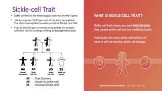 Sickle cell anaemia | PPTX