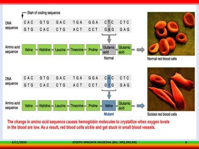 SICKLE CELL ANAEMIA ,TYPES AND MANAGEMENT | PPT