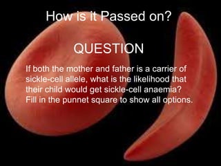 Sickle cell anaemia 2 | PPTX