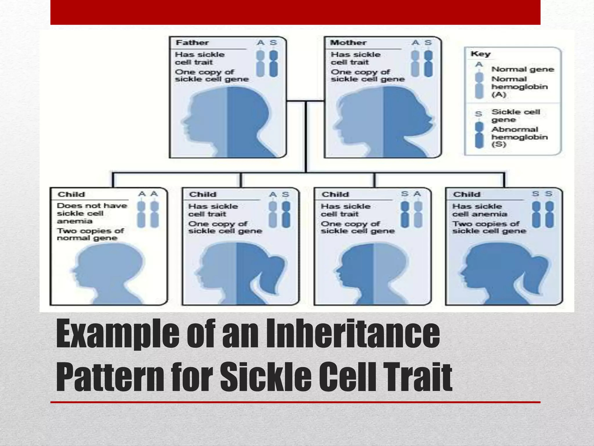 Sickle cell anemia by waheed | PPTX