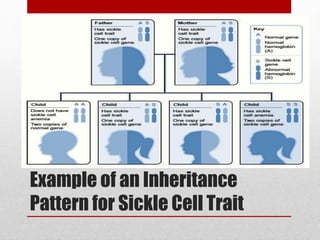 Sickle cell anemia by waheed | PPTX