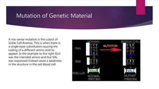 Sickle cell anemia | PPT