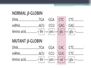 Sickle cell anemia | PPT
