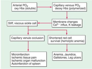 Sickle cell anemia | PPTX