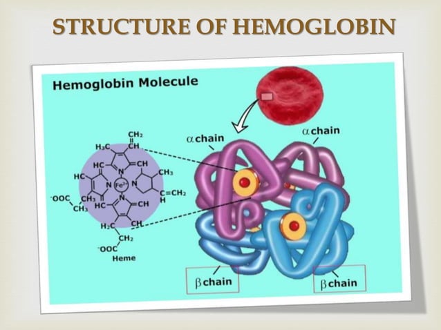Sickle Cell Anemia Causes And Inheritance Pattern Ppt