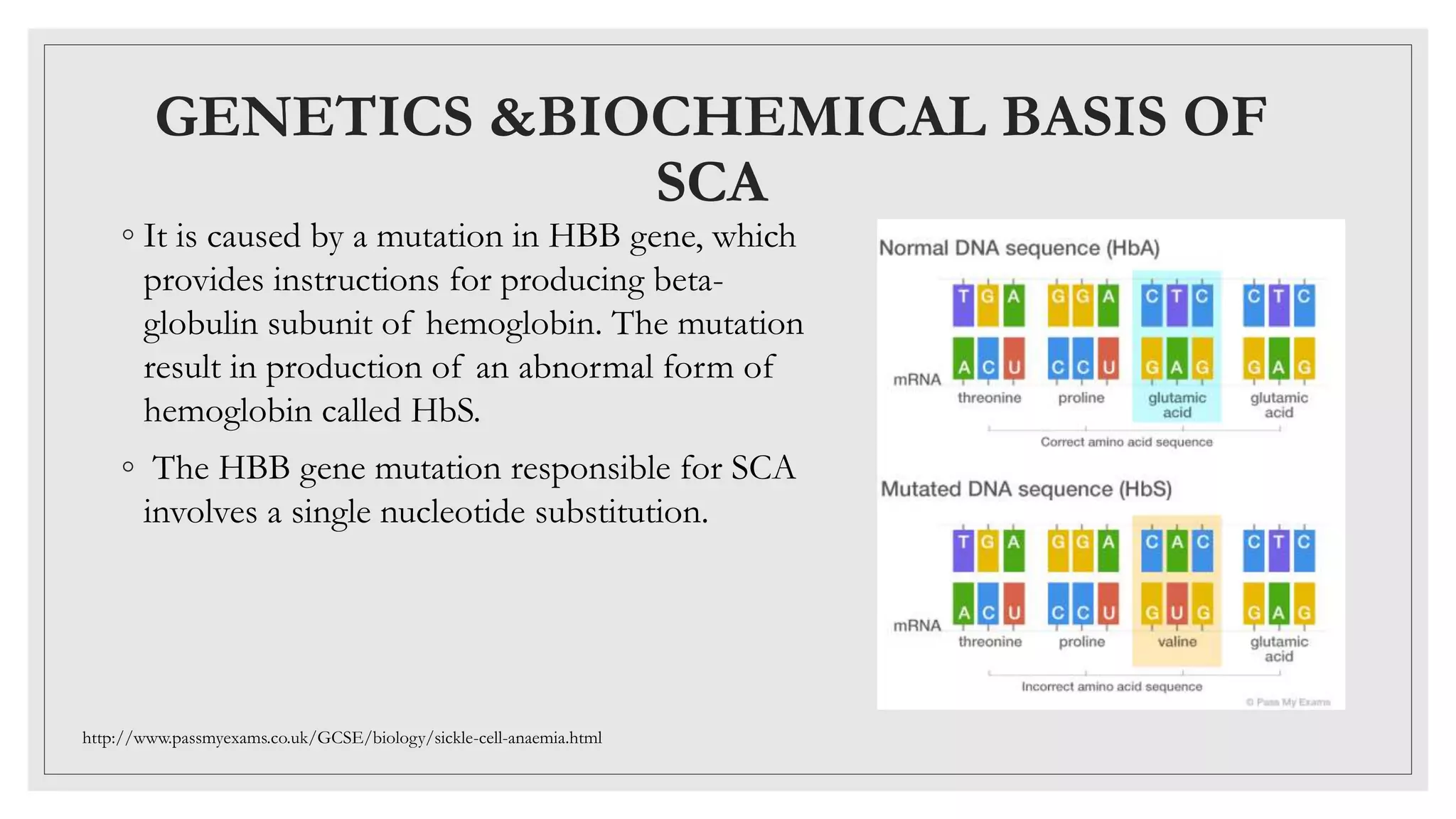 SICKLE CELL ANEMIA.pptx