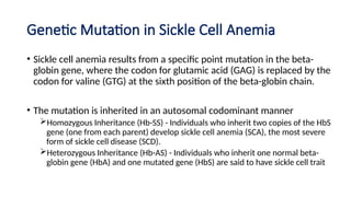 Sickle Cell Anemia.pptxSickle Cell Anemia | PPT