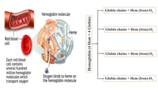Sickle Cell Anemia , Thalassemia and Hemophilia.pptx