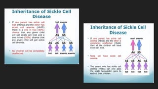 Sickle cell Anemia Diseases . | PDF