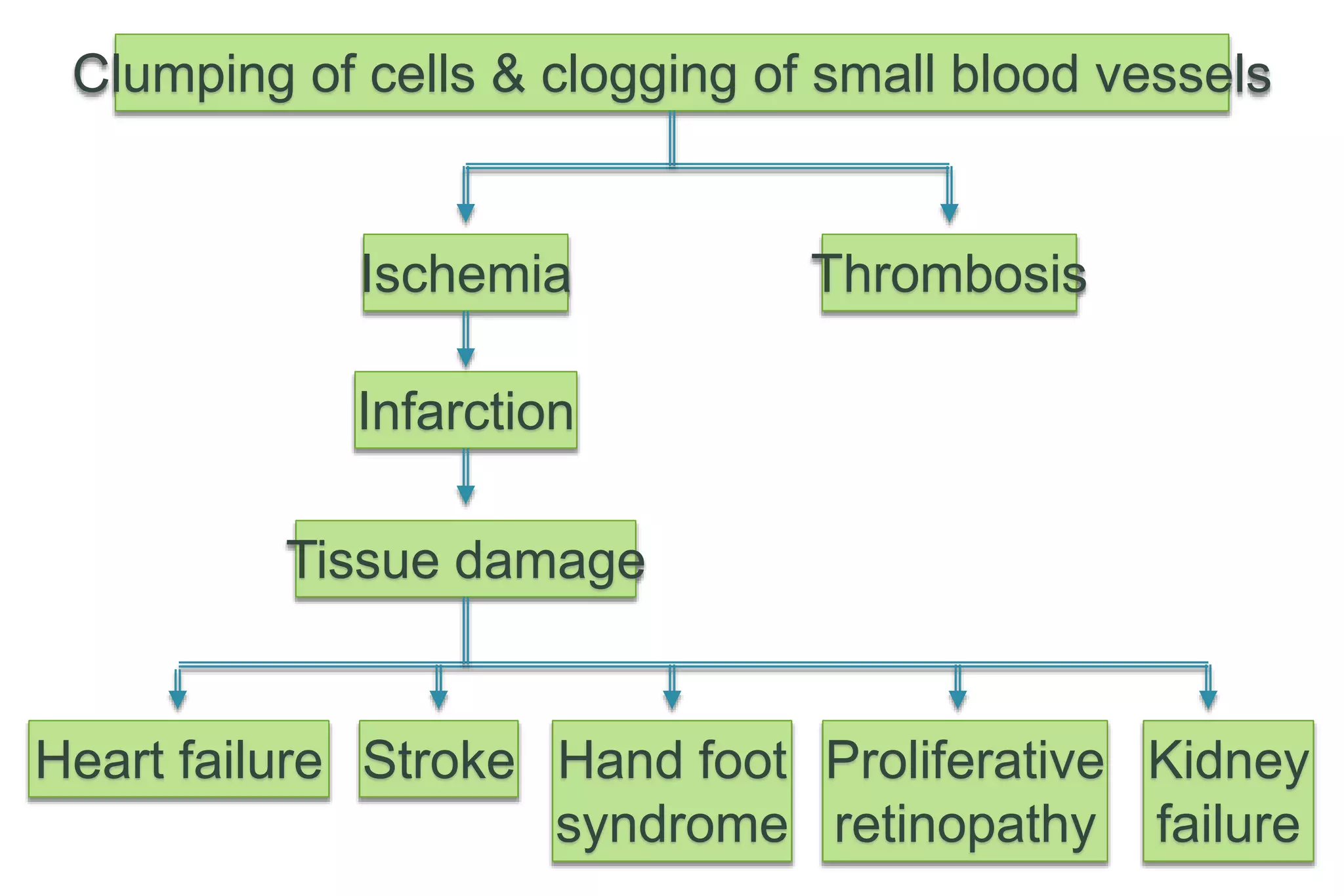 Sickle cell anemia | Hemoglobinopathies | PPTX