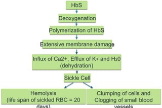 Sickle cell anemia | Hemoglobinopathies | PPTX