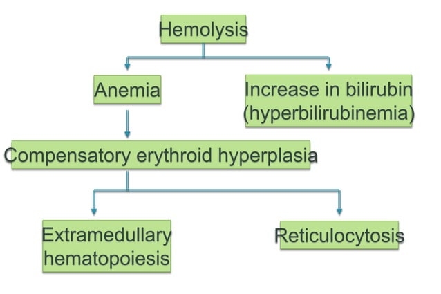 Sickle cell anemia | Hemoglobinopathies | PPT
