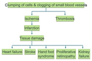 Sickle cell anemia | Hemoglobinopathies | PPTX