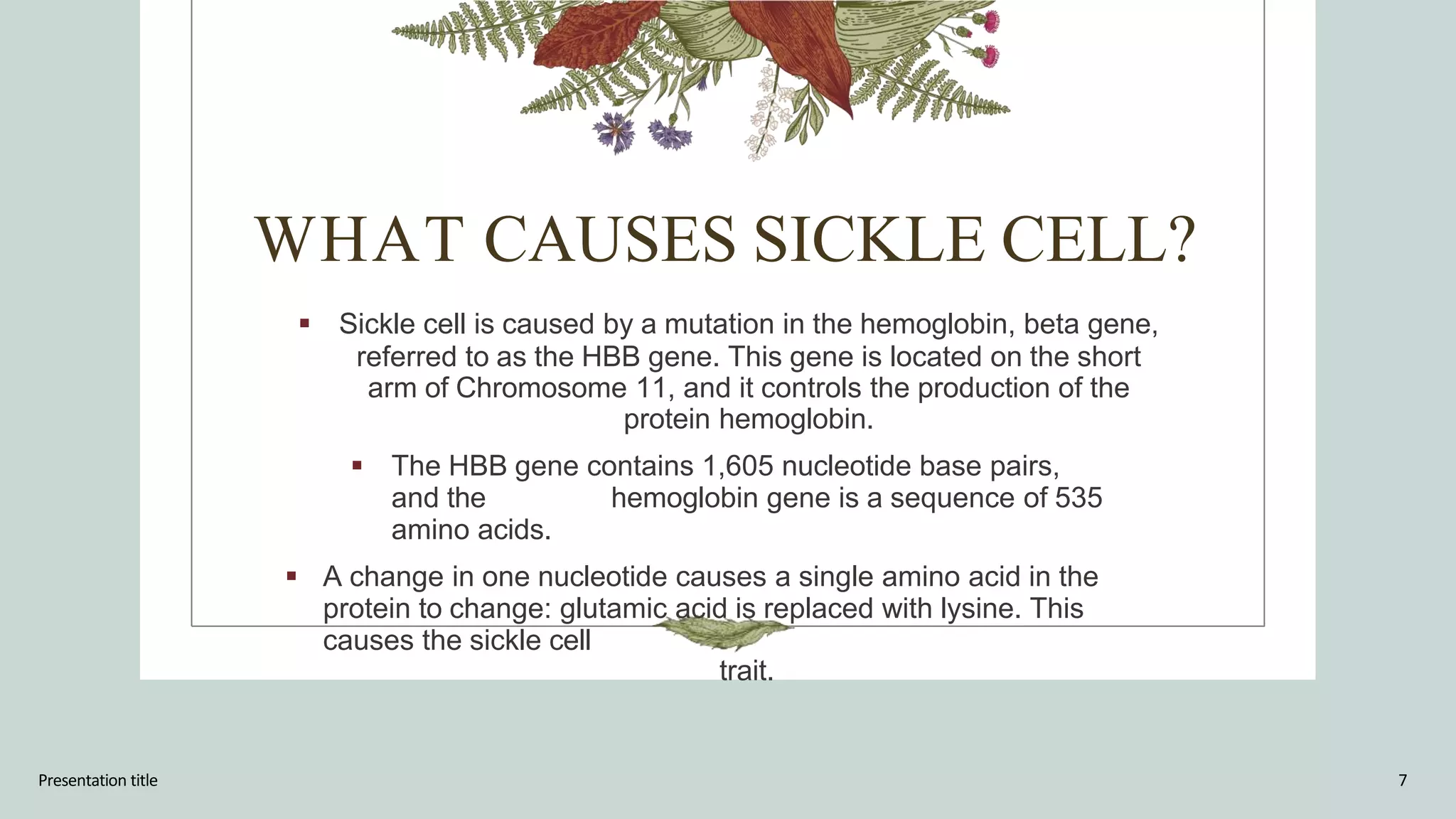 Sickle Cell Anemia 2.pptx