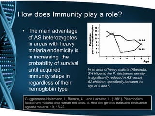 Sickle cell anemia and malaria 20121219 | PPTX