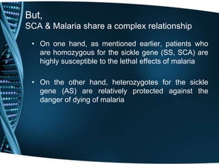 Sickle cell anemia and malaria 20121219 | PPTX