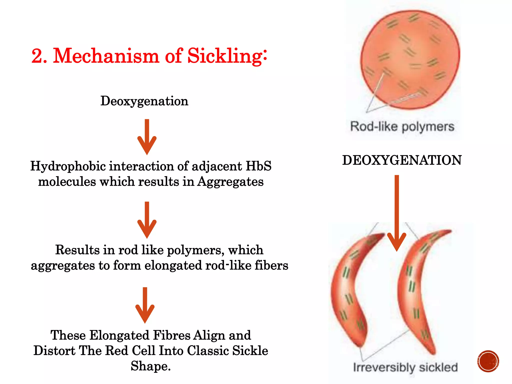 Sickle cell anemia and thalassemia | PPTX