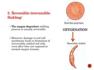 Sickle cell anemia and thalassemia | PPTX